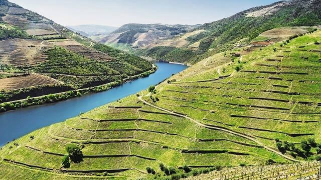 Entre Douro e Minho | ACP